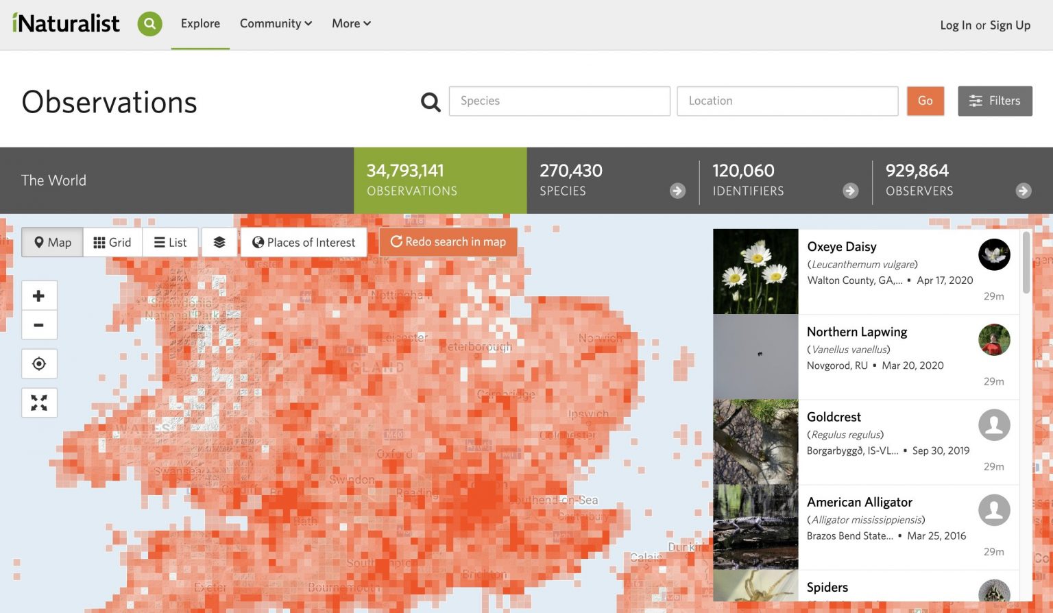 How to run a BioBlitz : Parks Community UK